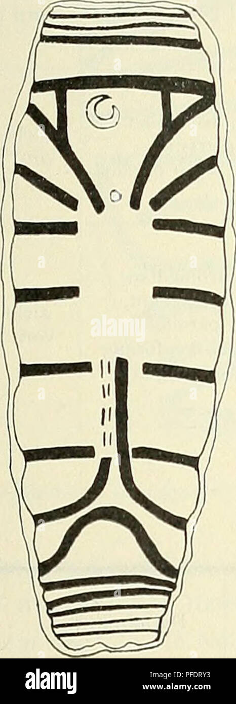 This scientific paper from the Austrian Academy of Sciences examines ...