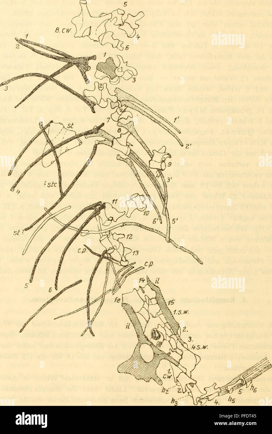 This scholarly work, published by the Austrian Academy of Sciences ...