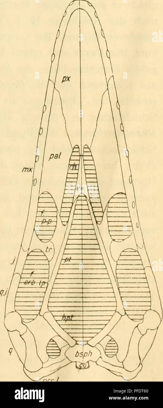 This publication from the Austrian Academy of Sciences features studies ...