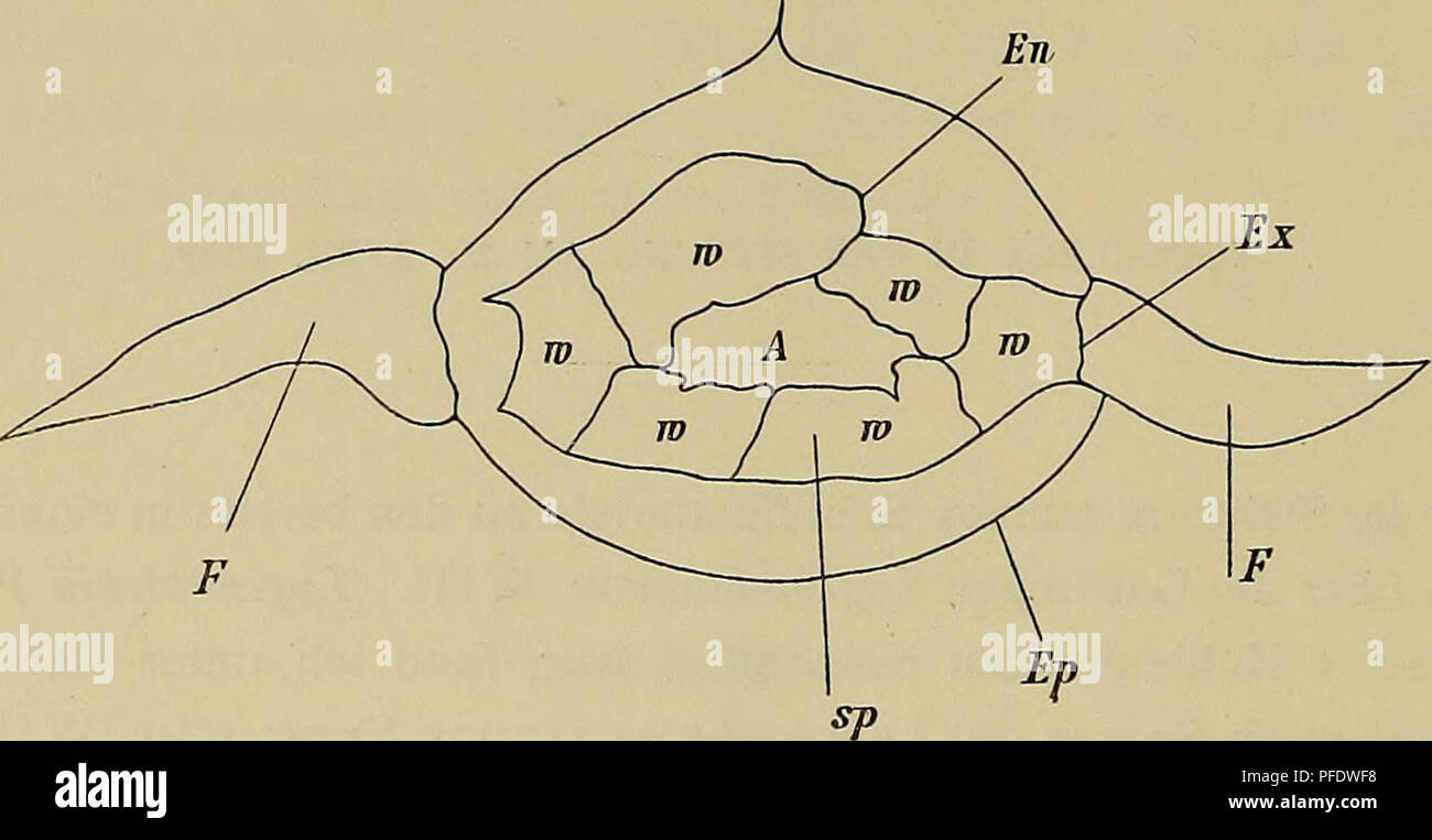 A scientific study from the Austrian Academy of Sciences detailing ...
