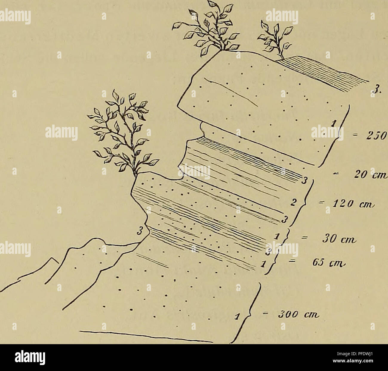 This academic work from the Austrian Academy of Sciences presents ...