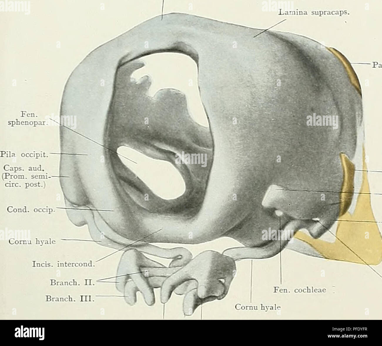 This work is part of the scientific proceedings of the Jena Medical and ...