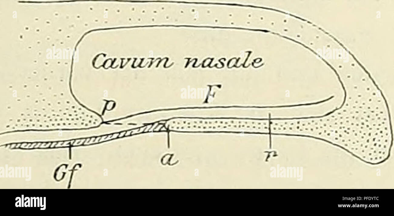 This paper, published in the Denkschriften journal, explores the ...