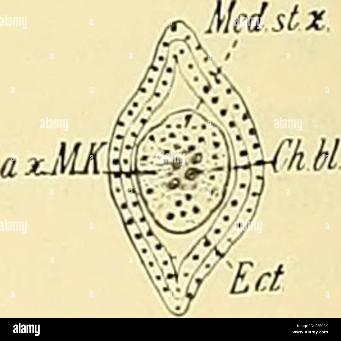 This research publication from the Medicinal-Natural Science Society of ...