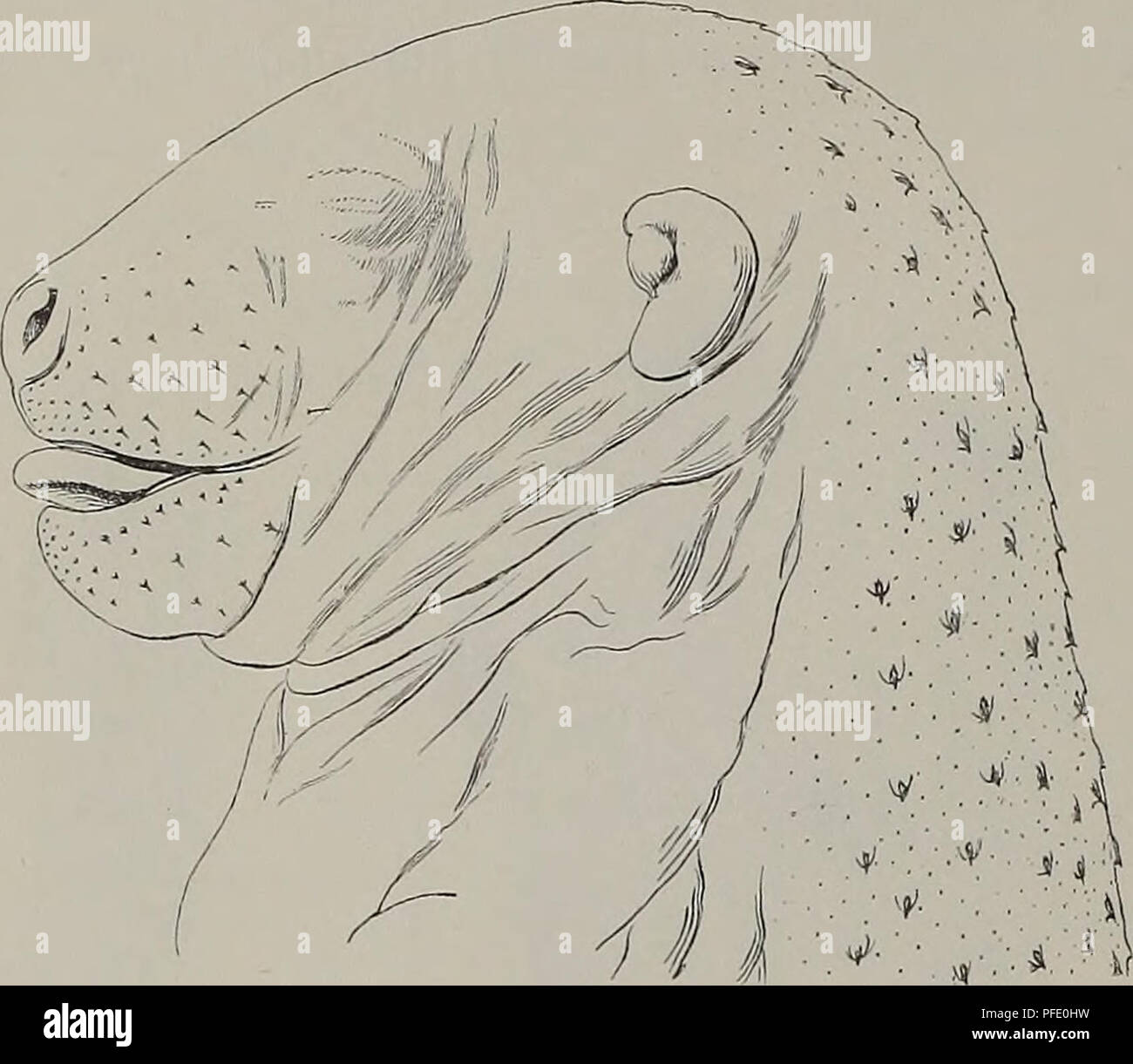 Unterscheiden hi-res stock photography and images - Alamy