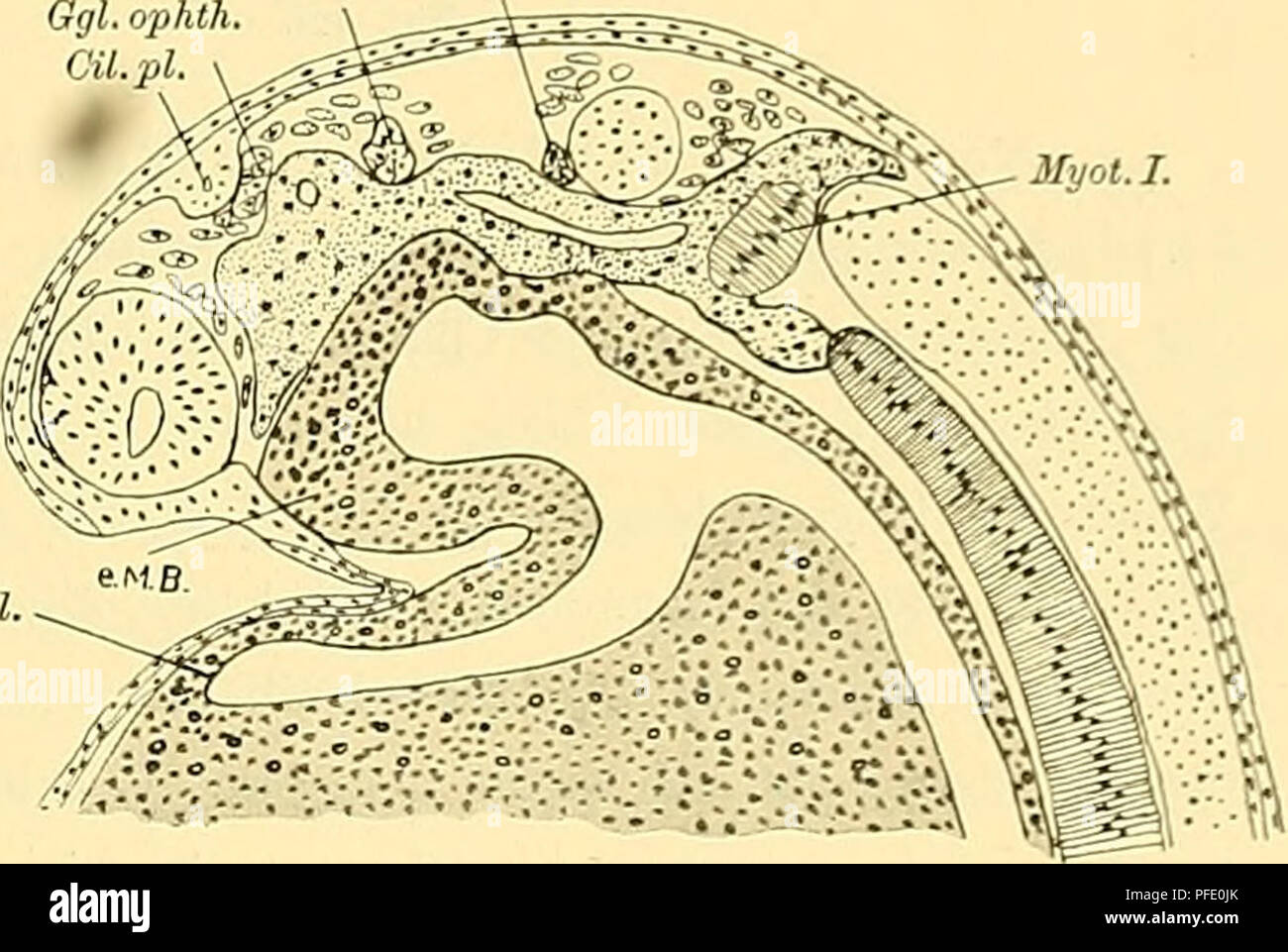 Metamere hi-res stock photography and images - Alamy