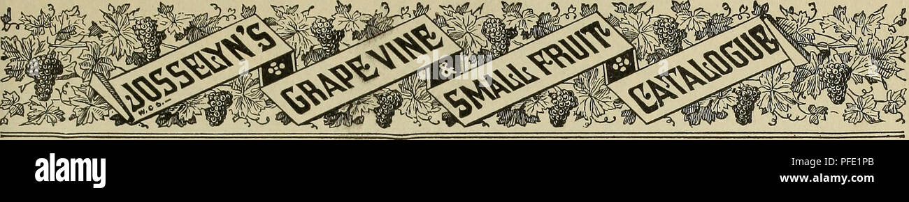 This catalog provides descriptions and pricing for American grape vine ...