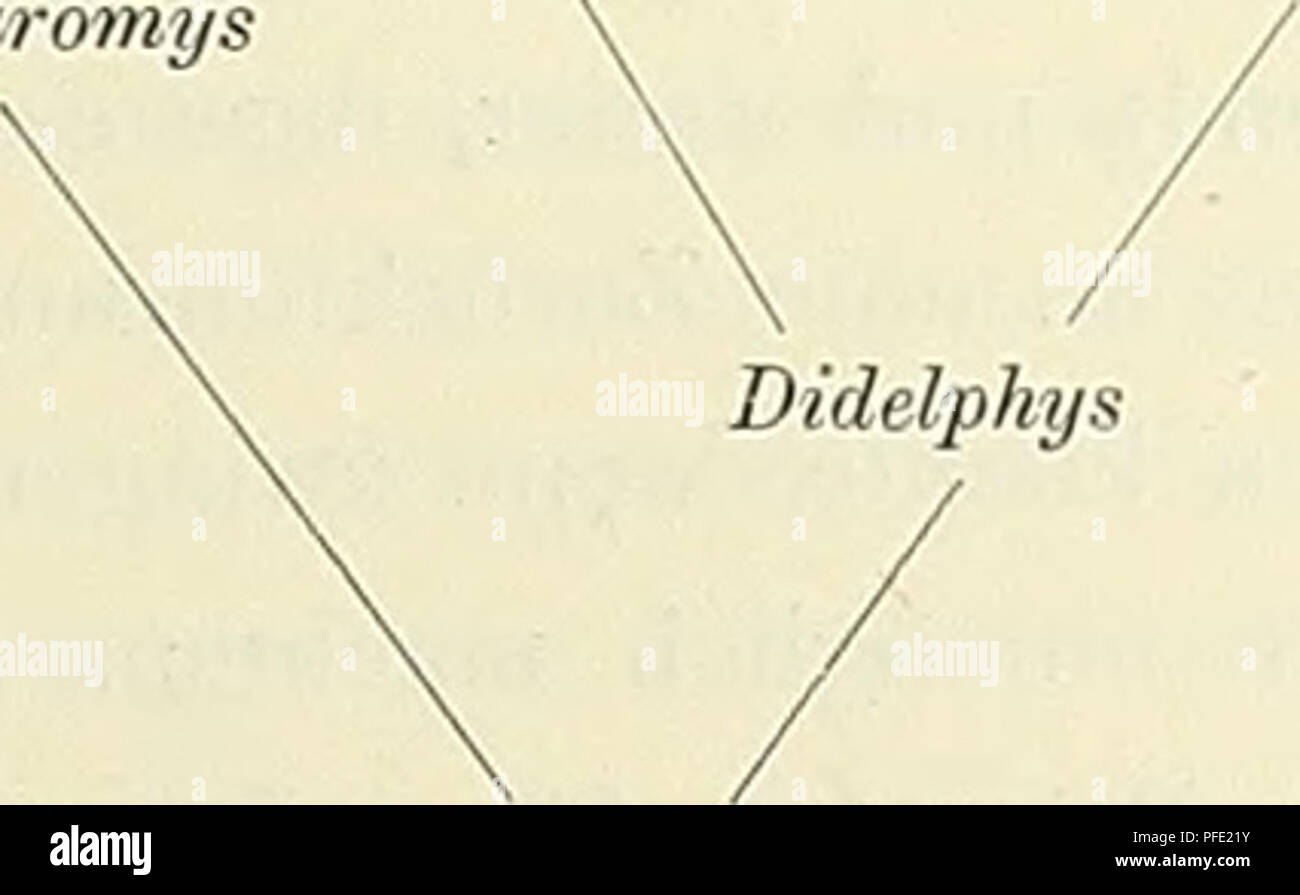 This scholarly article discusses the development of mammary glands ...