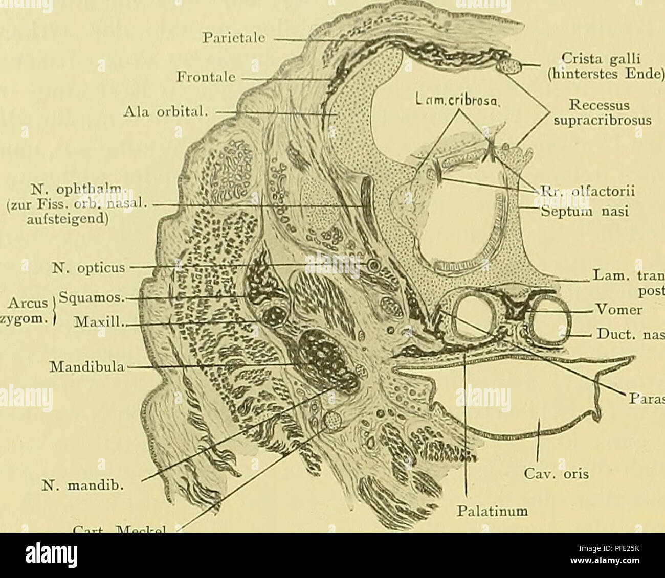 Orbitale 1 hi-res stock photography and images - Alamy