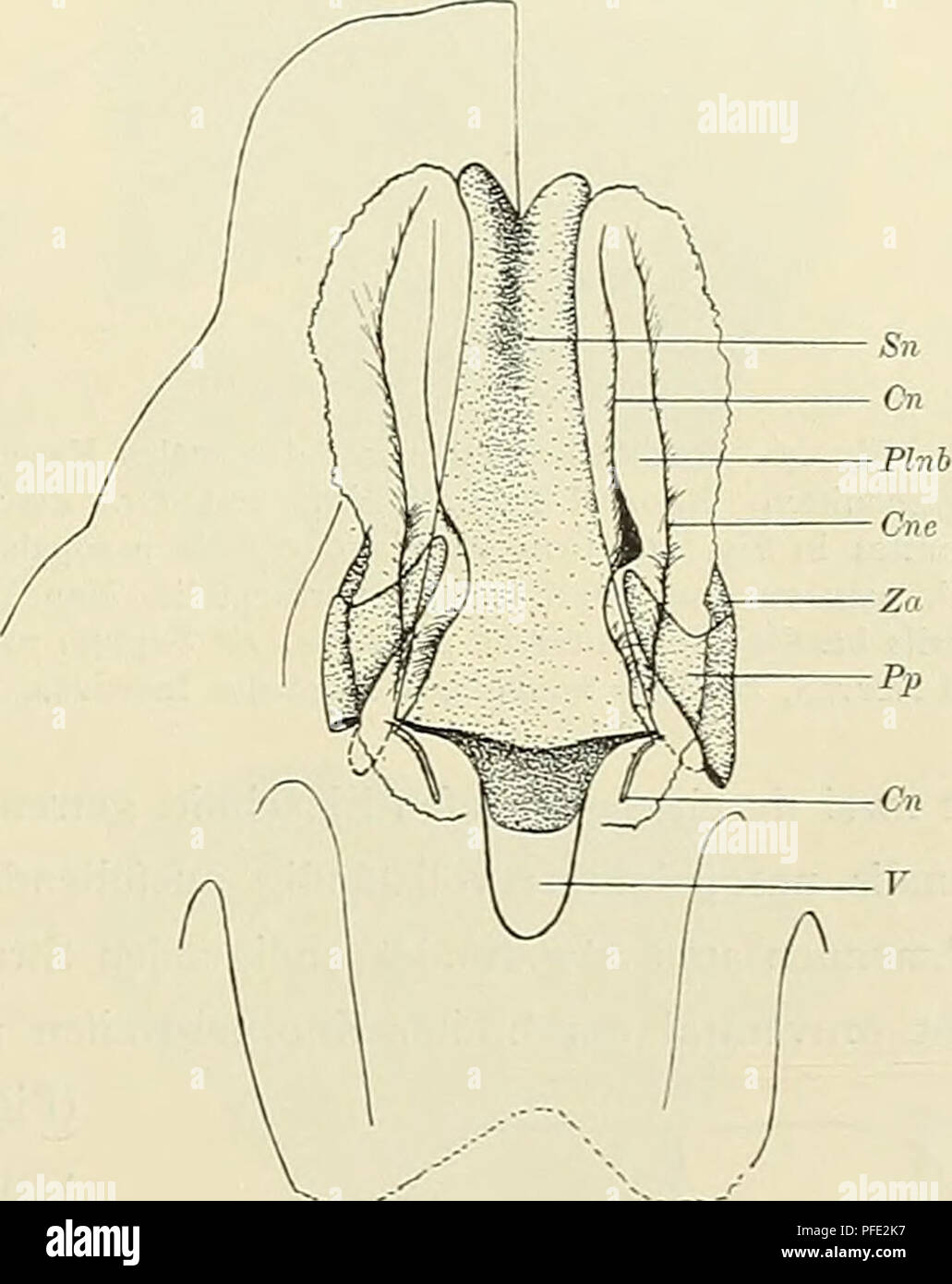 Medical and Natural Science Papers from the Jena Society: A detailed ...