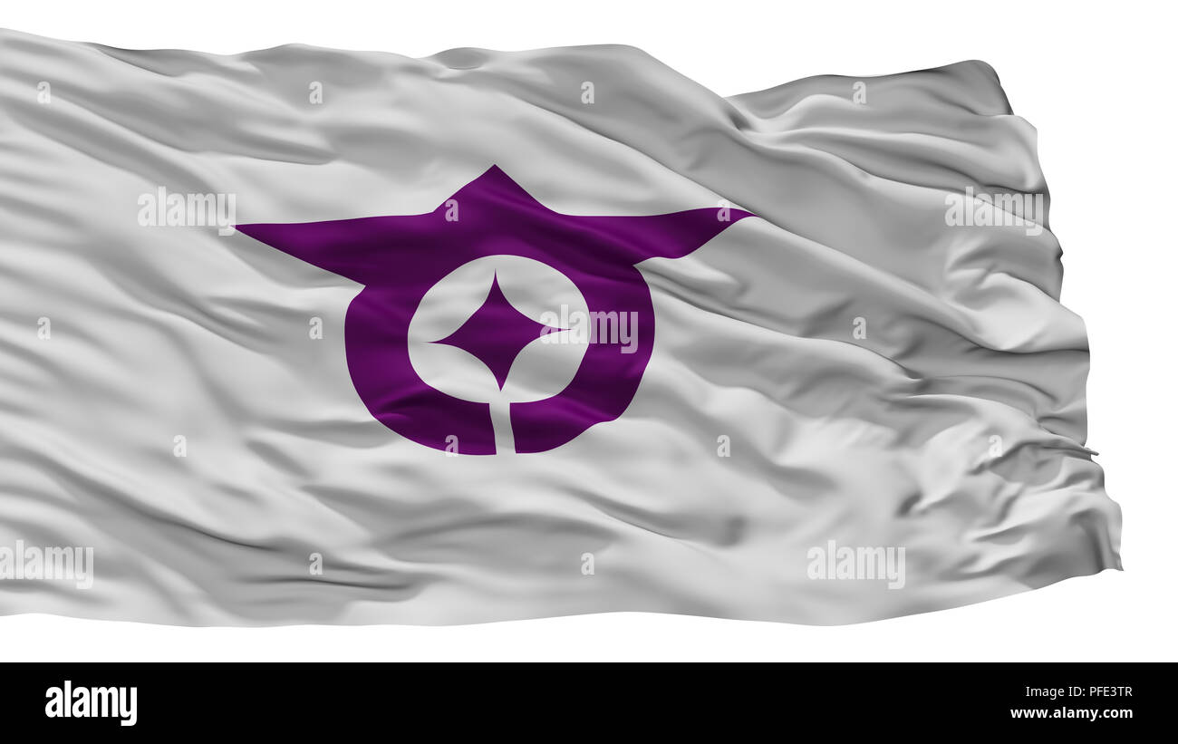 Ota City Flag, Japan, Tokyo Prefecture, Isolated On White Background ...