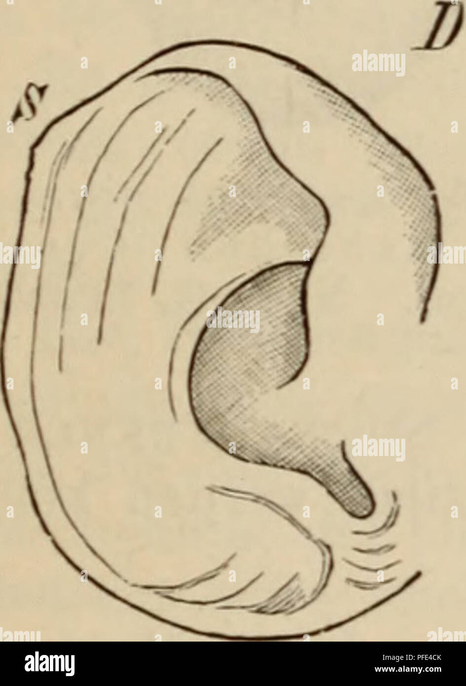 This text delves into the human anatomy as a testament to our ...
