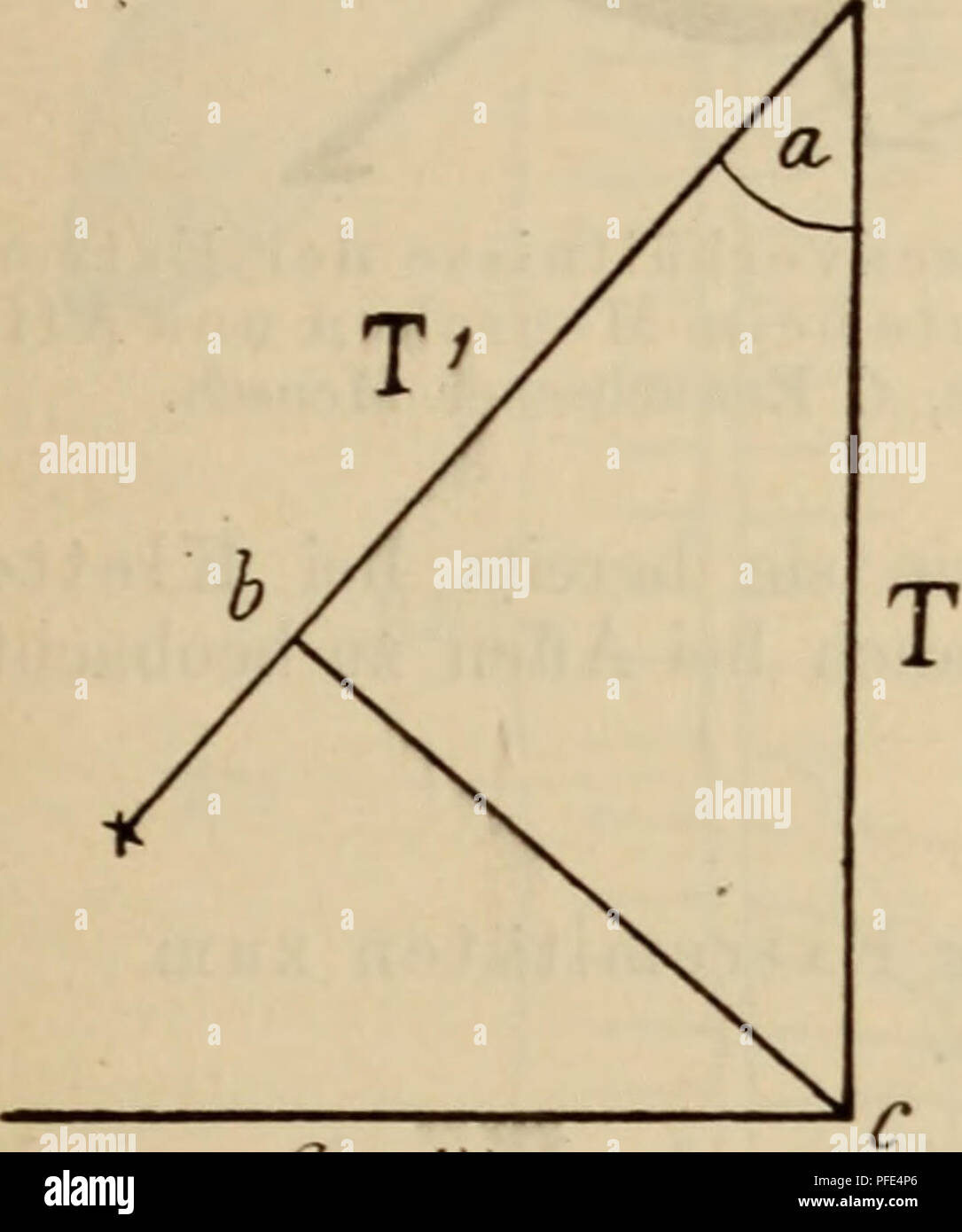 A comparative anatomy study of human beings, exploring the evolutionary ...