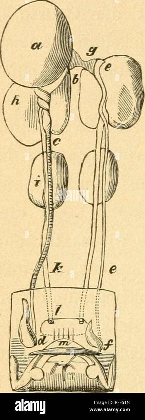 William harn hi-res stock photography and images - Alamy