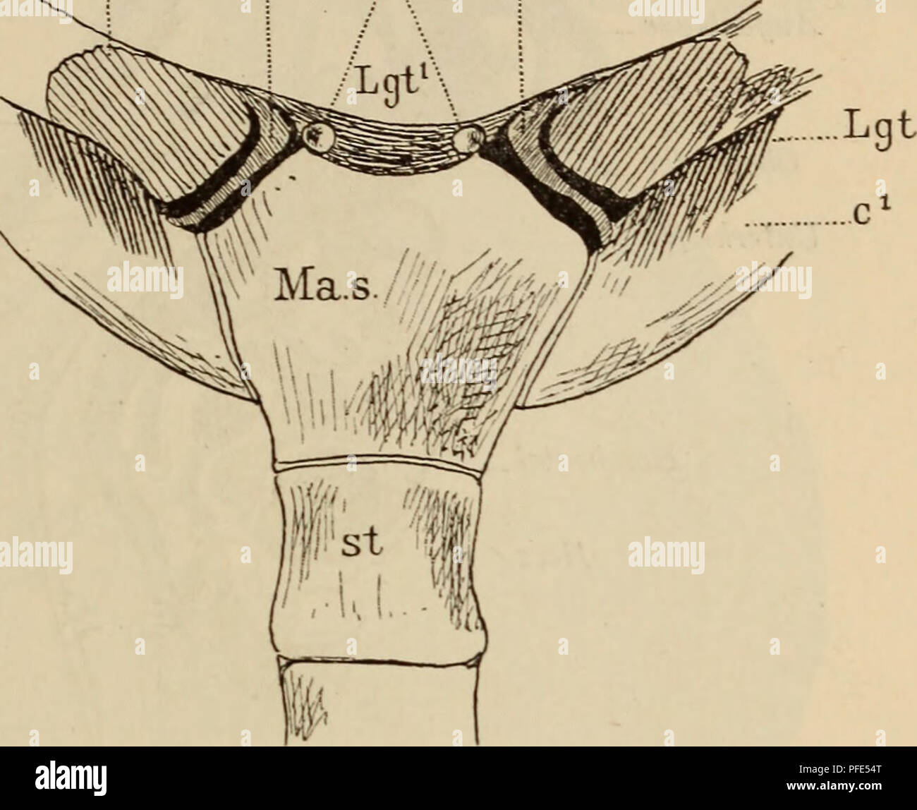 Qsp hi-res stock photography and images - Alamy