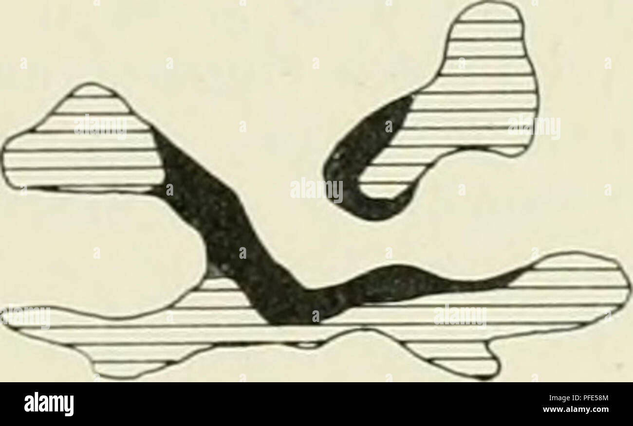 Serie 127 hi-res stock photography and images - Alamy