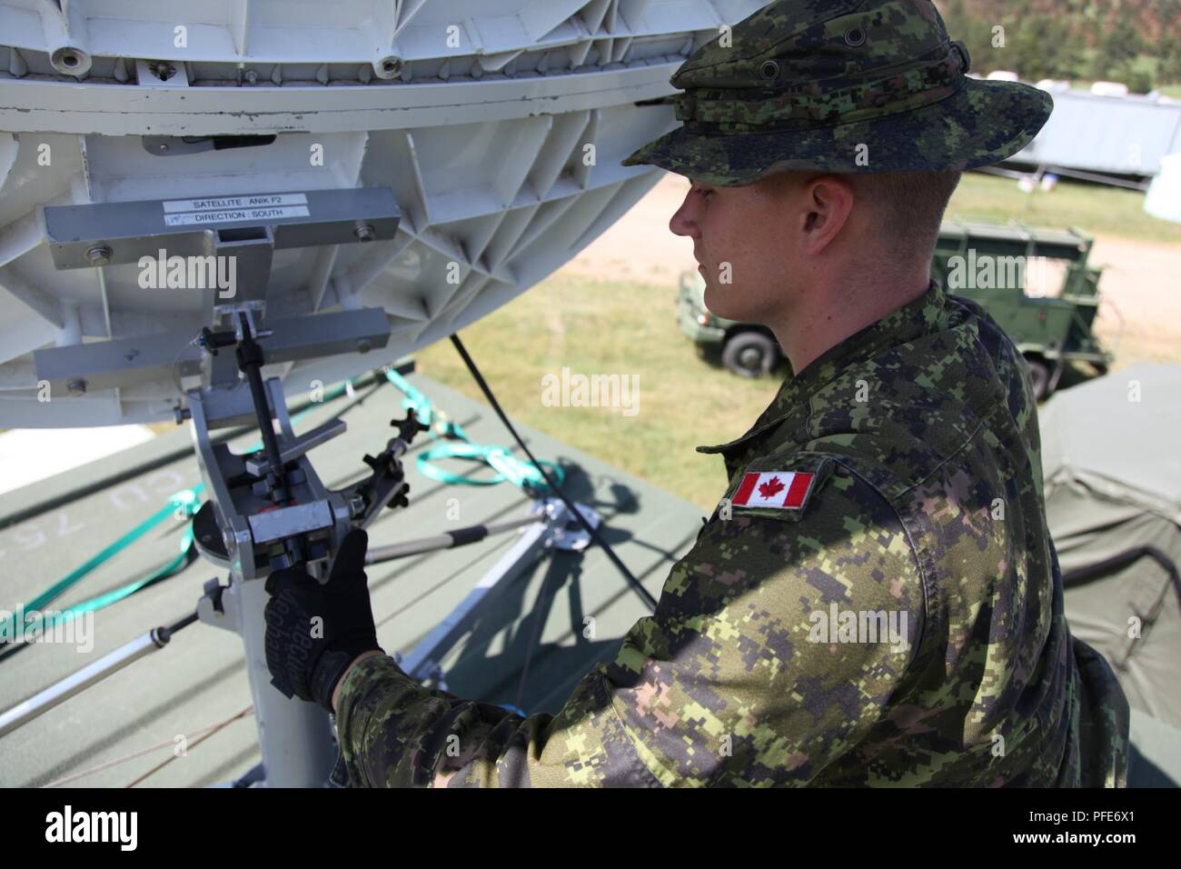 Golden coyote combat operations hi-res stock photography and images - Alamy