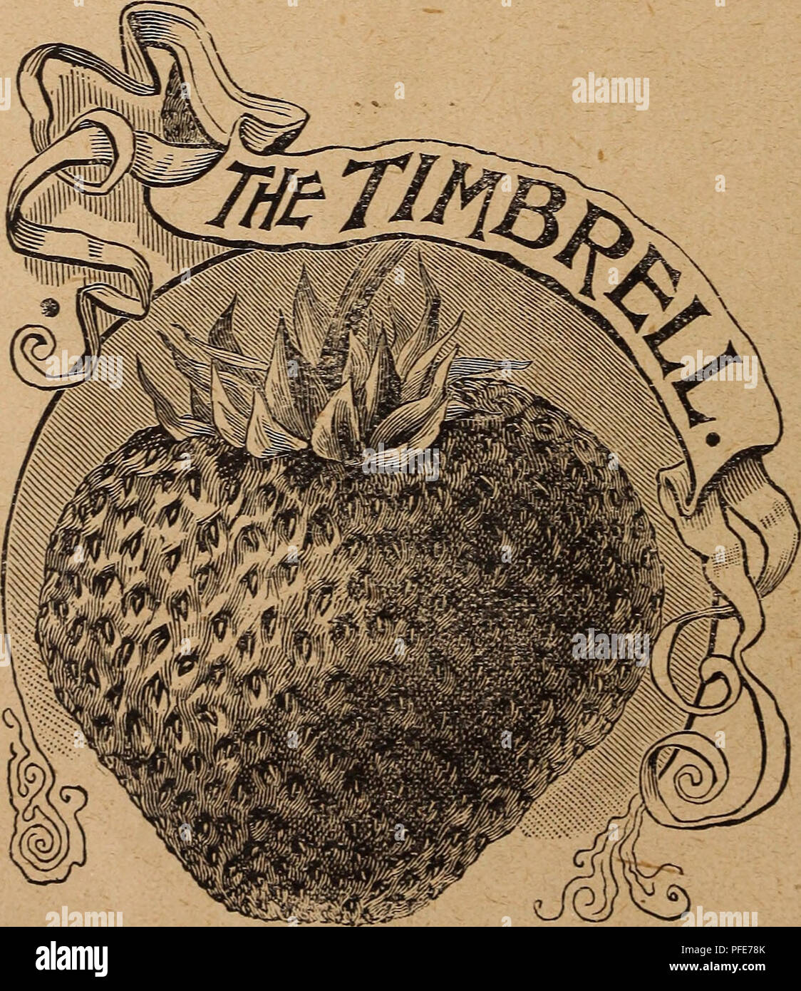 This catalog provides detailed descriptions of various fruit varieties ...