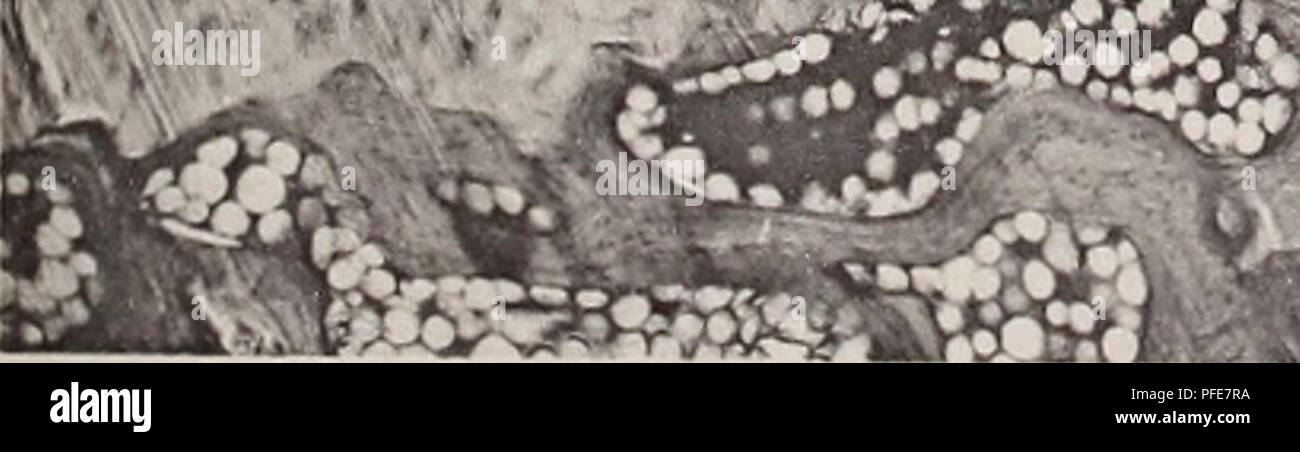 This work features research from the Austrian Academy of Sciences ...