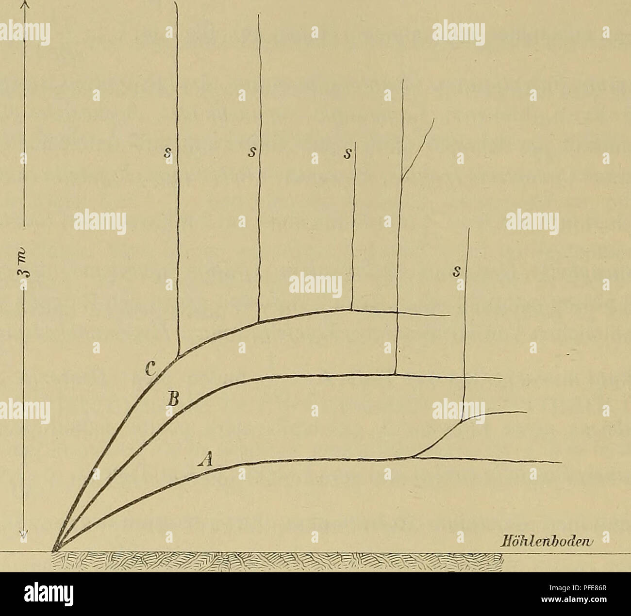 Highlighting three distinct layers hi-res stock photography and images ...