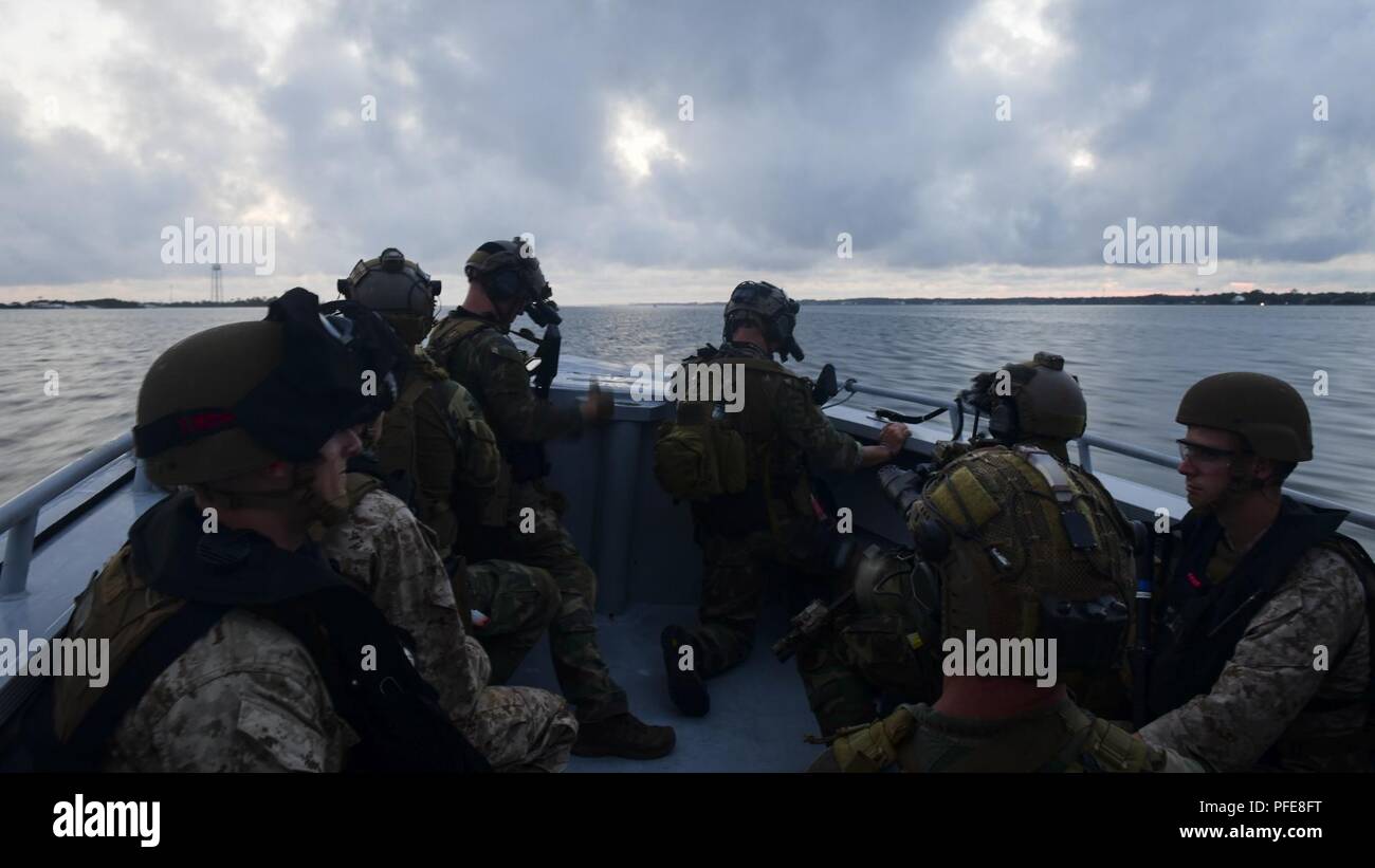 U.S. Marine Corps Raiders with the 3d Marine Raider Battalion ride on a ...