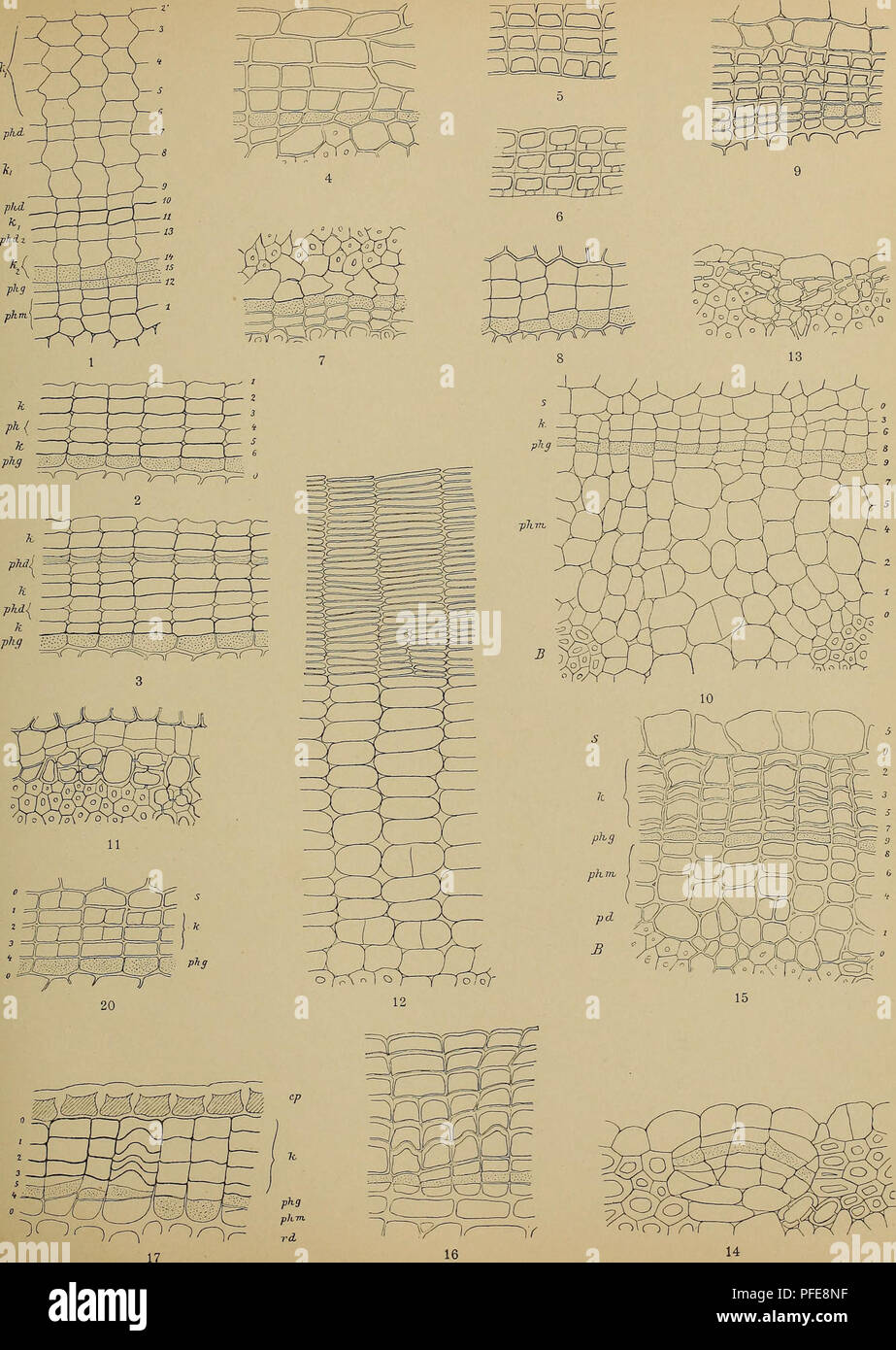 This article from the Austrian Academy of Sciences discusses the ...