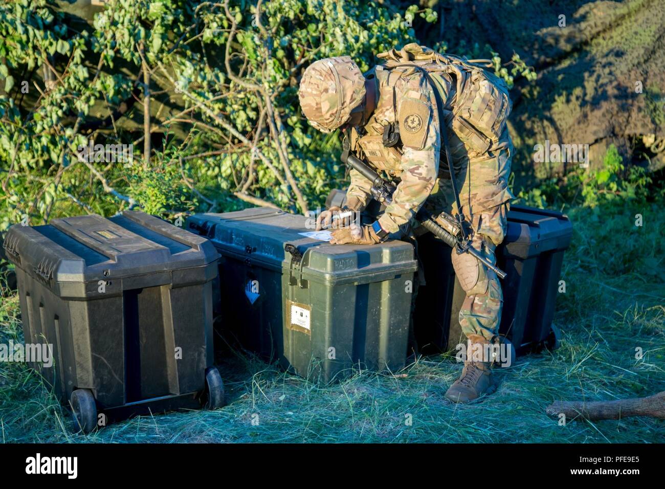 Fox troop hi-res stock photography and images - Alamy