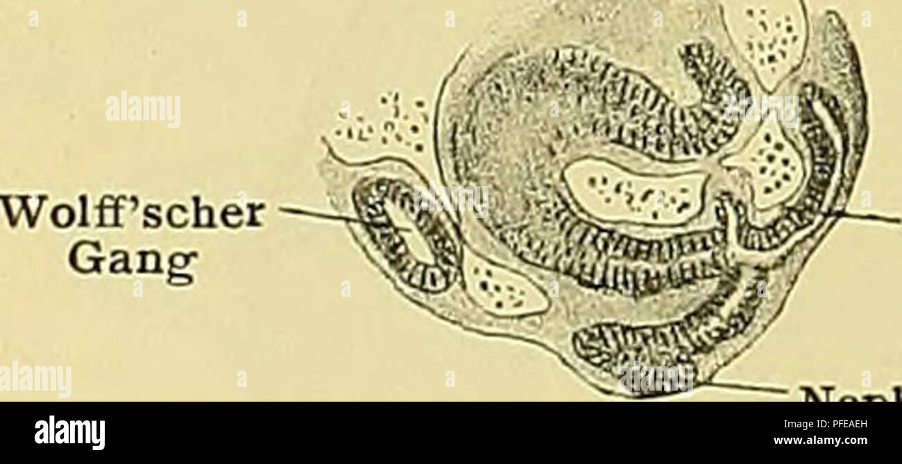 Umrissskizze hi-res stock photography and images - Alamy