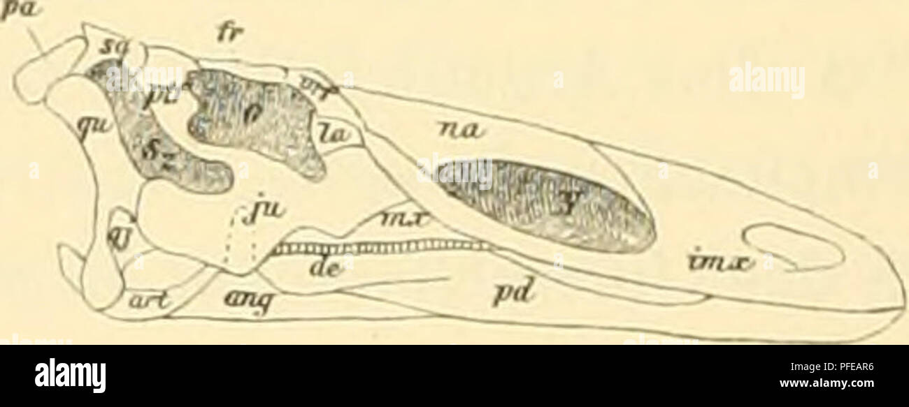 The Denkschriften of the Imperial Academy of Sciences documents studies ...