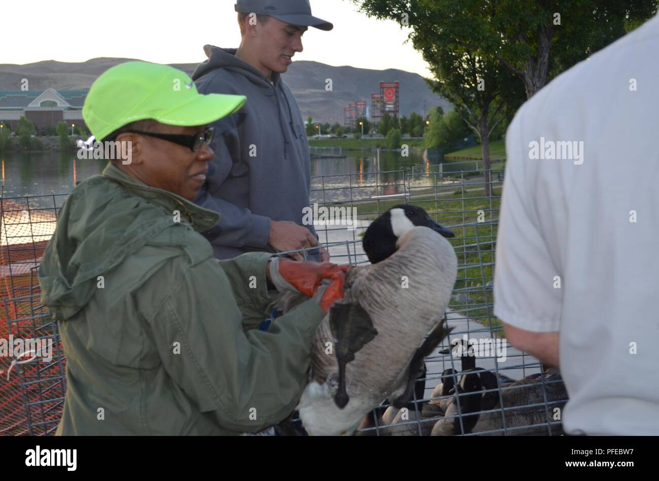 Angela ash hi-res stock photography and images - Alamy