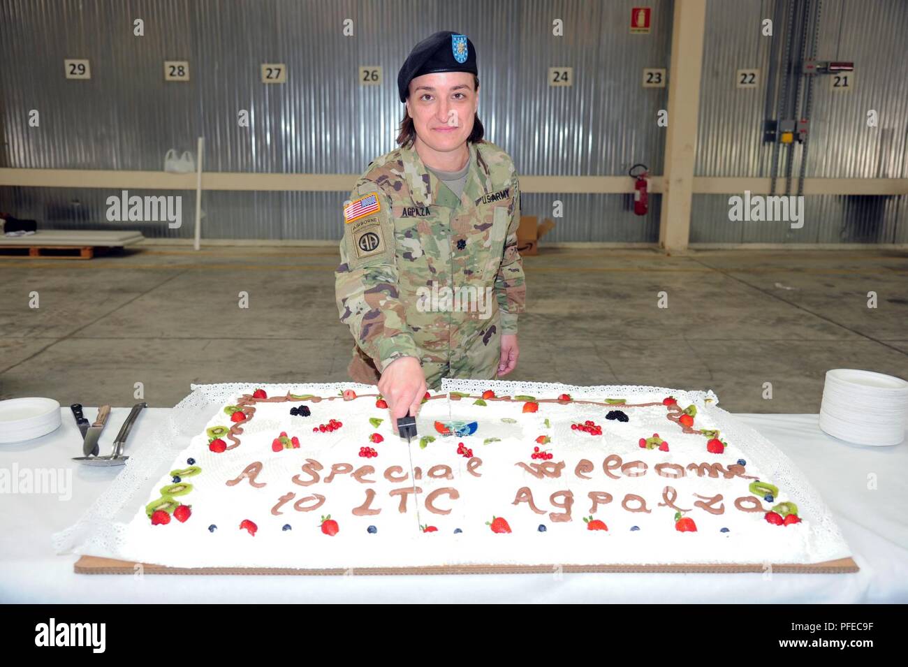 U.S. Army Lt. Col. Michelle M. Agpalza, Commander of the 405th Army ...