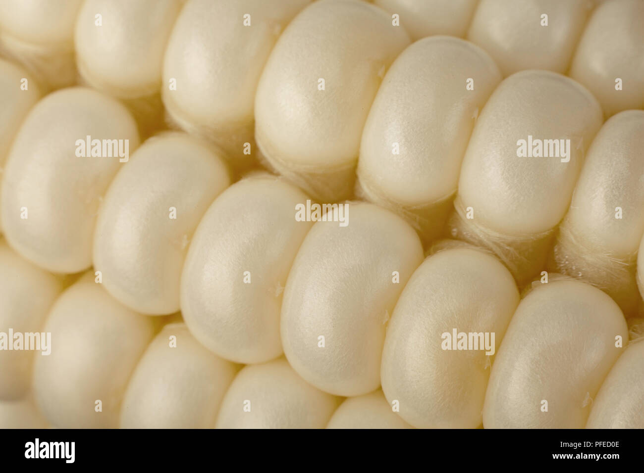 White sweet corn hi-res stock photography and images - Alamy