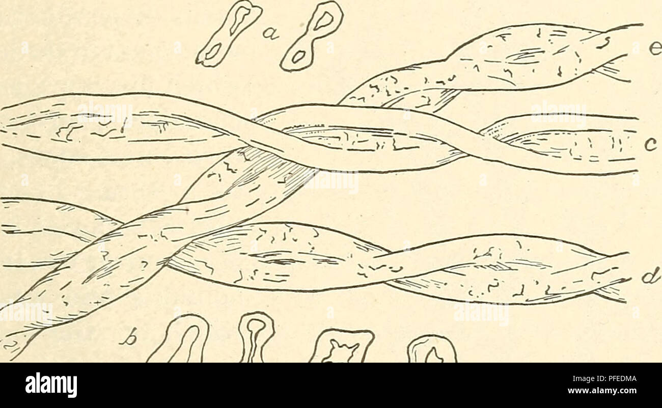 This catalogue provides a detailed description of useful fiber plants ...