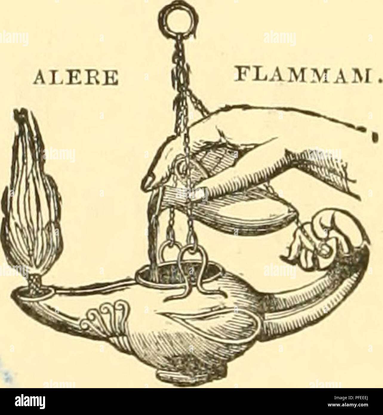 This catalogue describes various sponge species housed in the ...