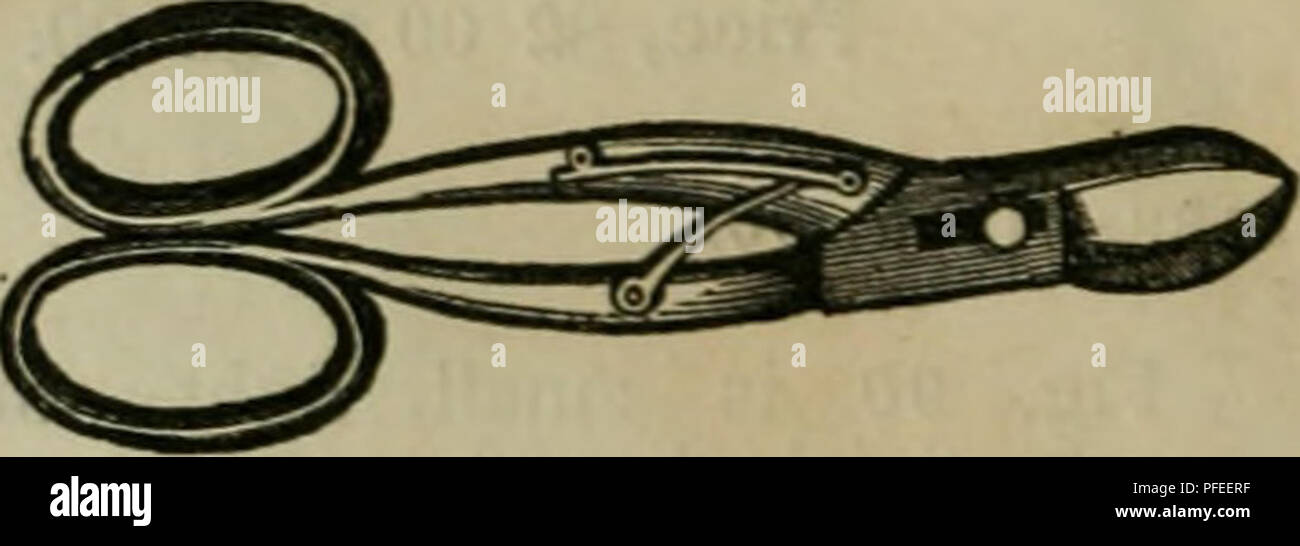 A catalog detailing various agricultural tools, implements, and seeds ...