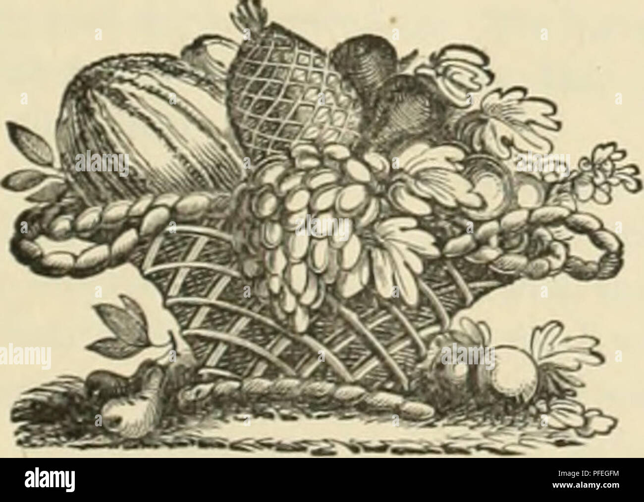 Vegeta ble hi-res stock photography and images - Alamy