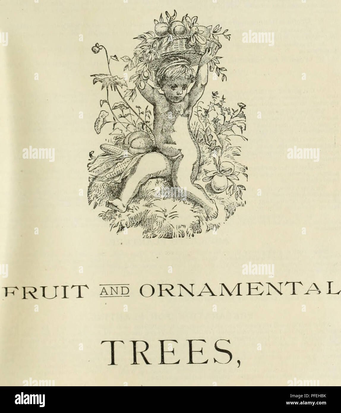 This descriptive catalog provides a comprehensive list of fruit trees ...