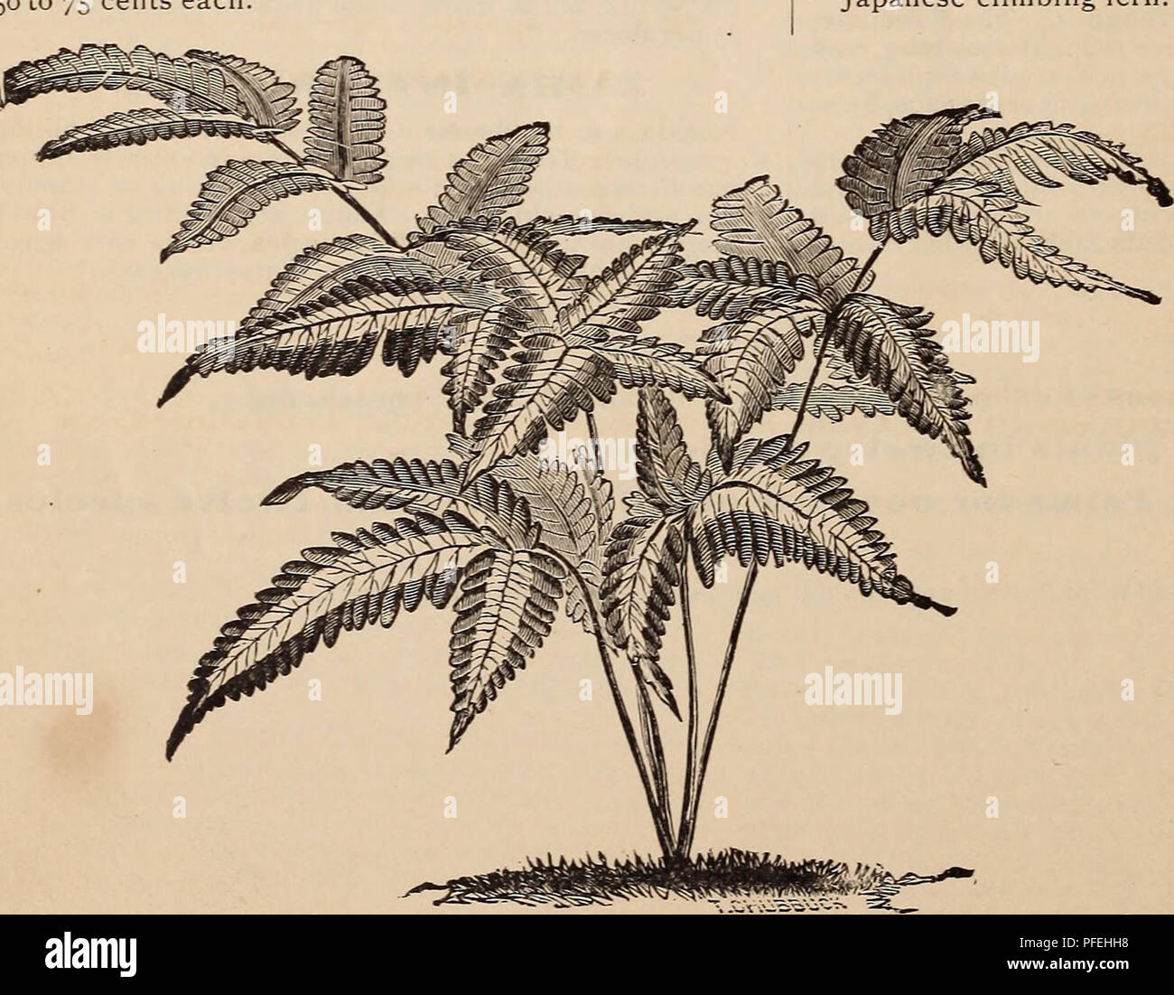 This catalog offers a variety of tropical and semi-tropical fruit trees ...