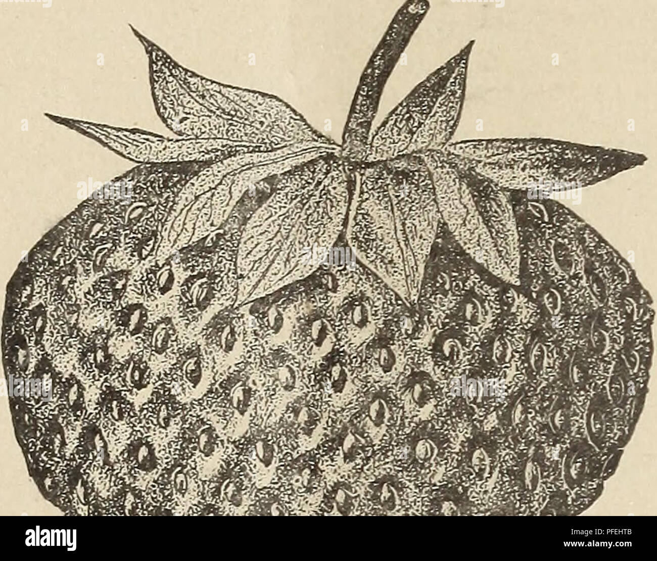 Catalogue Aro High Resolution Stock Photography and Images - Alamy