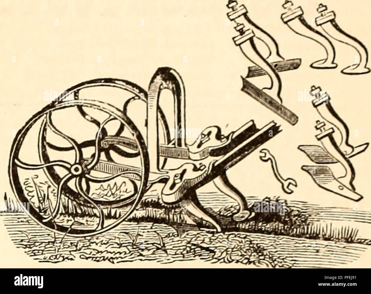 This image is a catalog illustration detailing various horticultural ...
