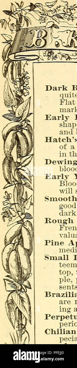 This catalog features a variety of vegetable, flower, and agricultural ...