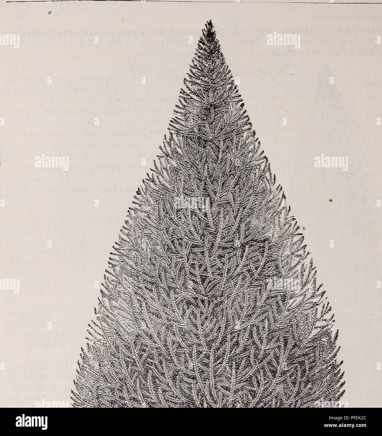 This catalog offers a wide variety of fruit and ornamental trees ...