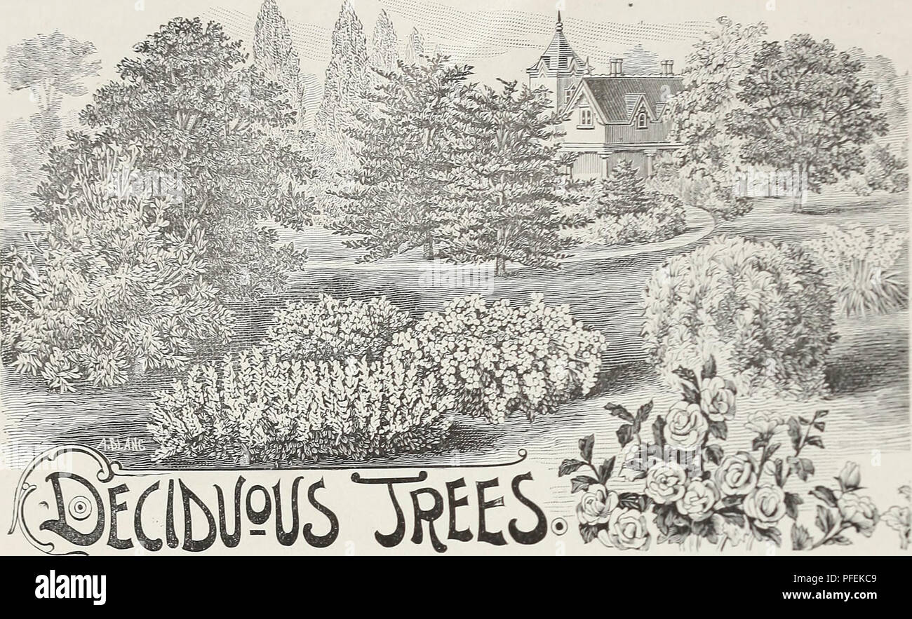 . Descriptive illustrated catalogue of fruit and ornamental trees ...