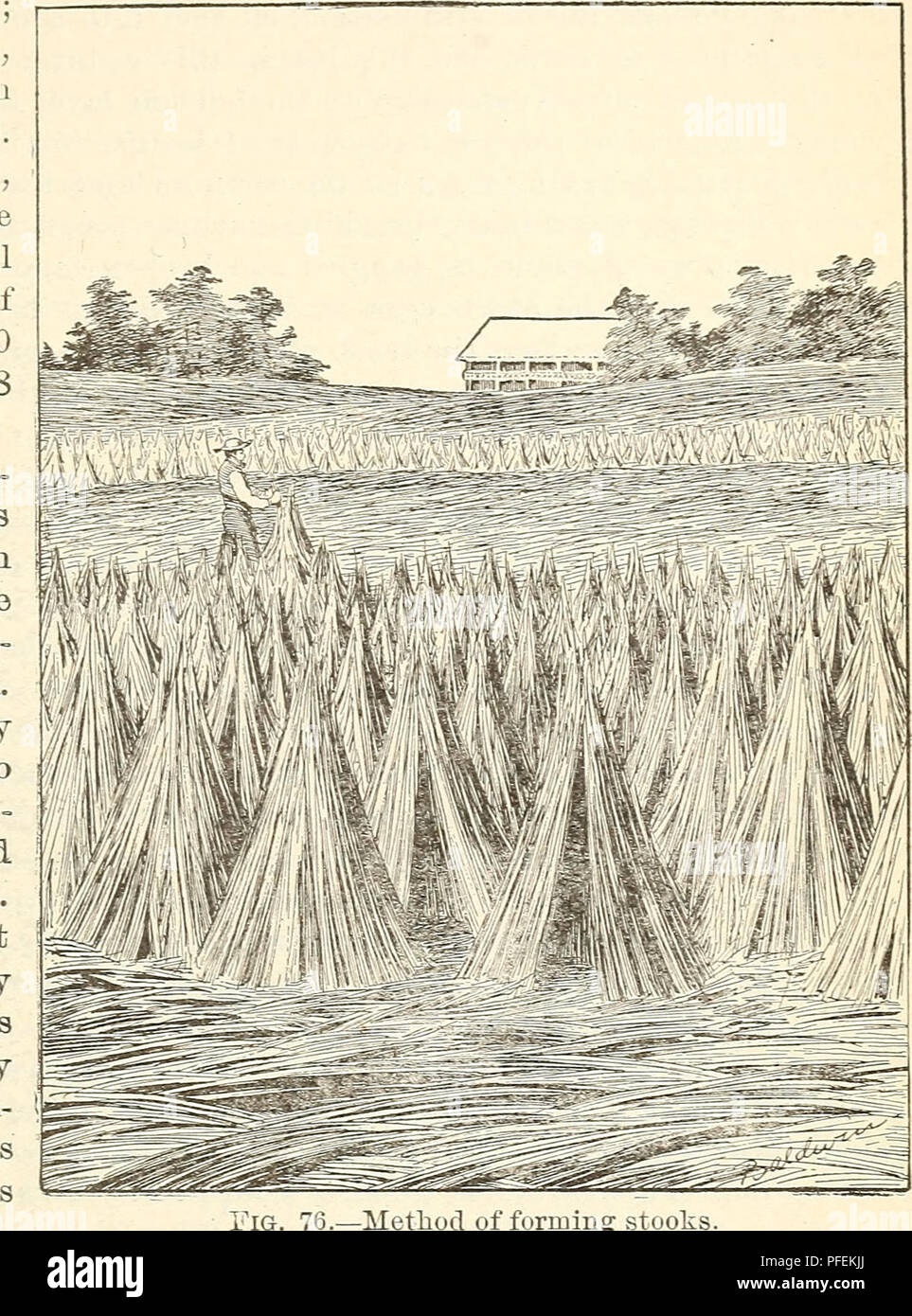 It gives fiber hi-res stock photography and images - Alamy