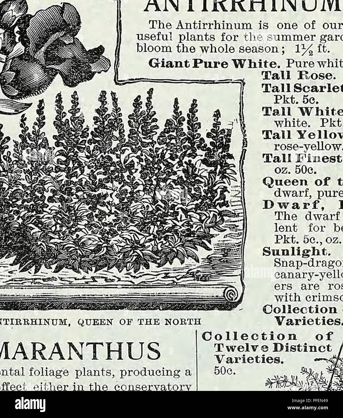 This catalogue details various flower and vegetable seeds sold by ...