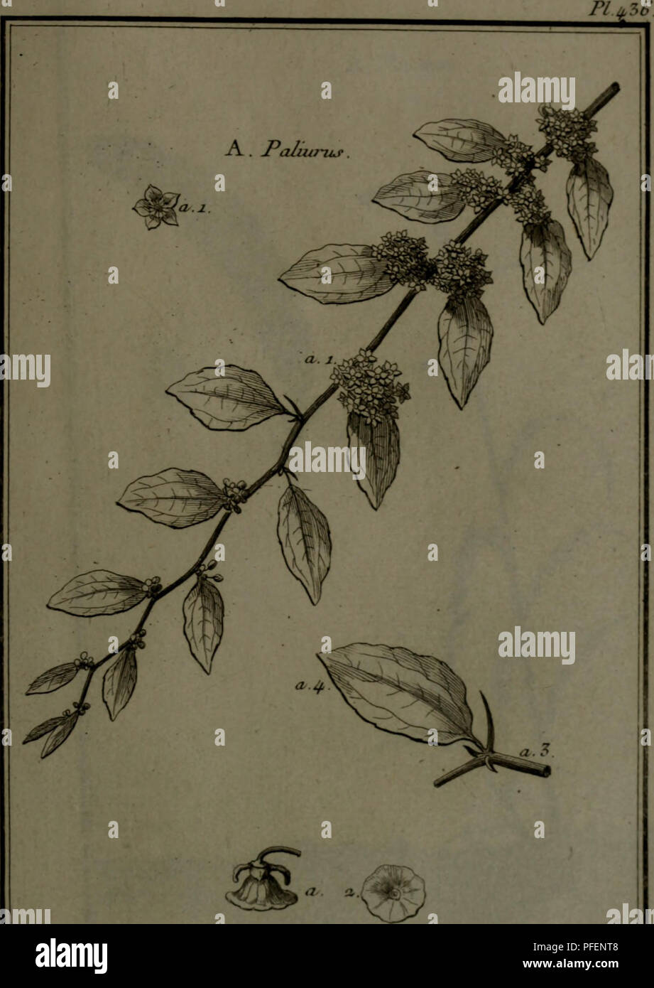 This 18th-century work presents detailed depictions and descriptions of ...