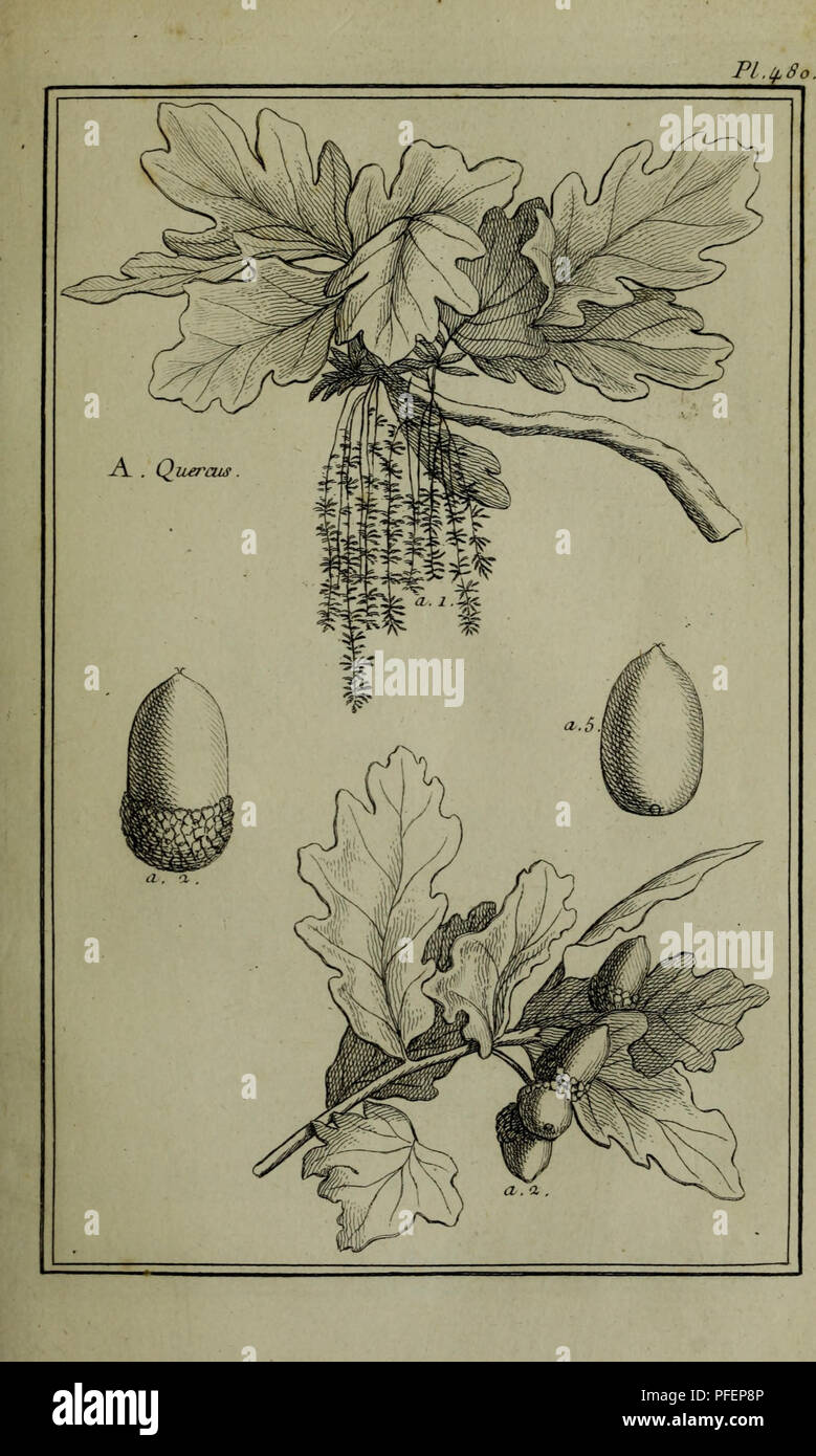 This illustrated work details the medicinal uses and benefits of 719 ...
