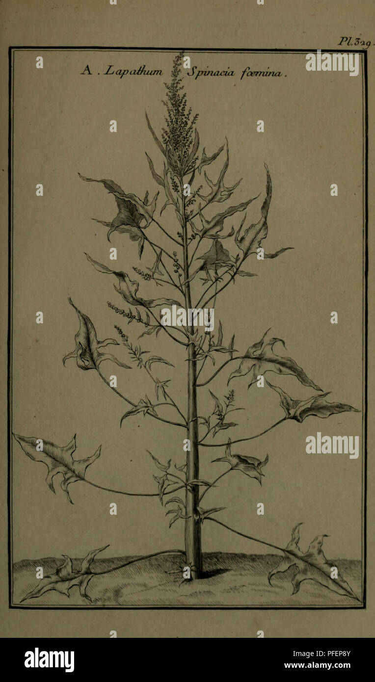 This comprehensive work details the medicinal properties and uses of ...