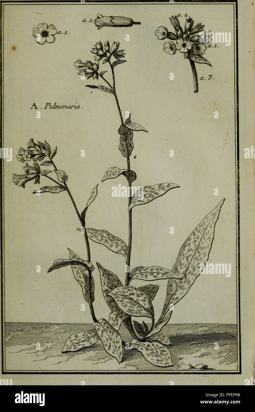 A botanical and zoological reference describing the medicinal and ...