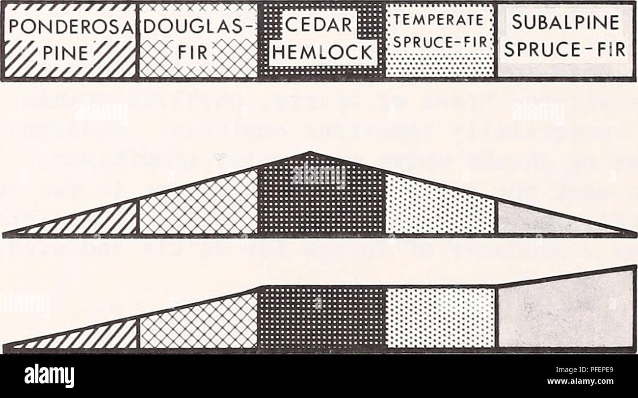 . A descriptive analysis of Montana's forest resources. Forests and ...